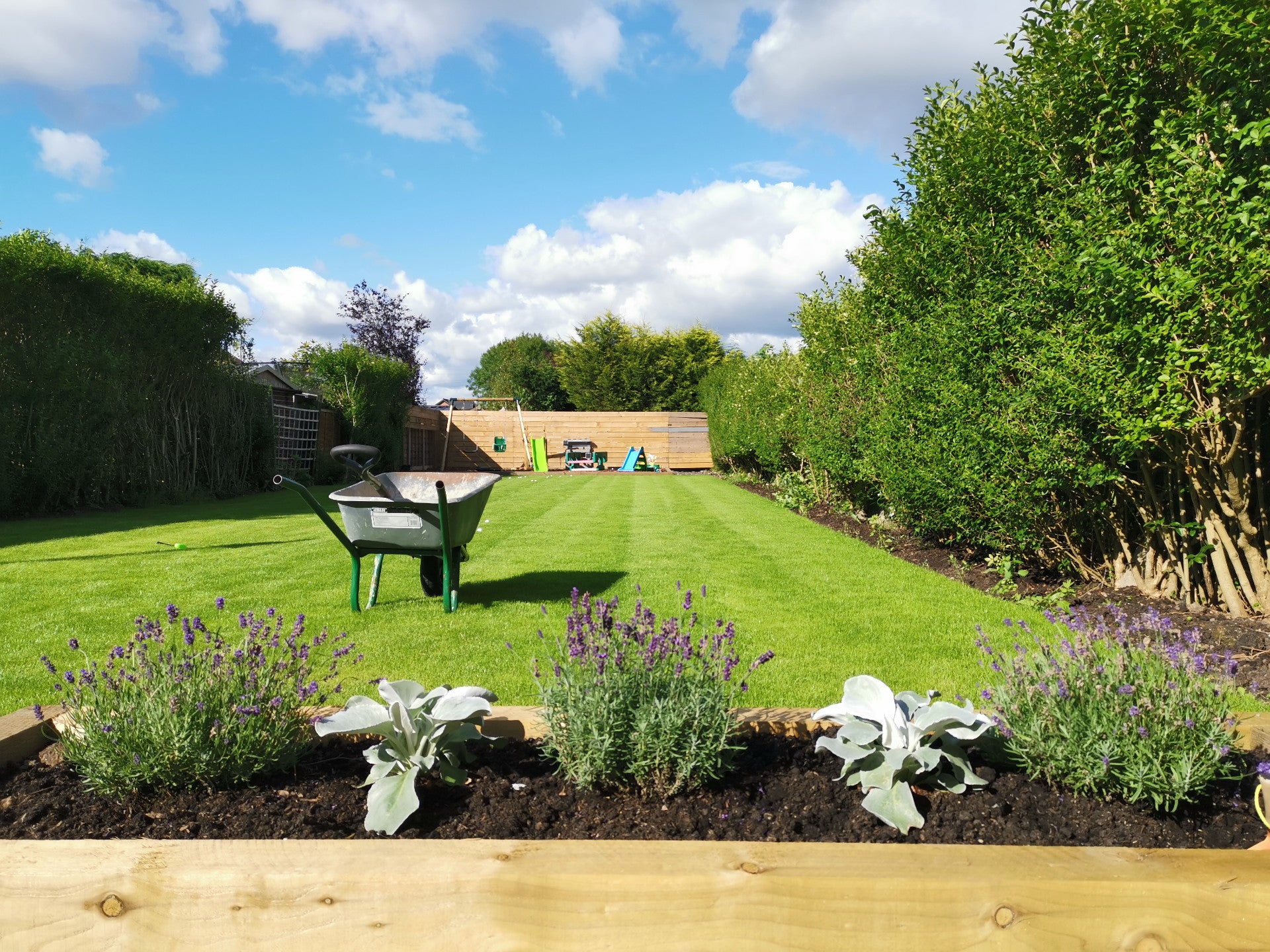Garden lawn store